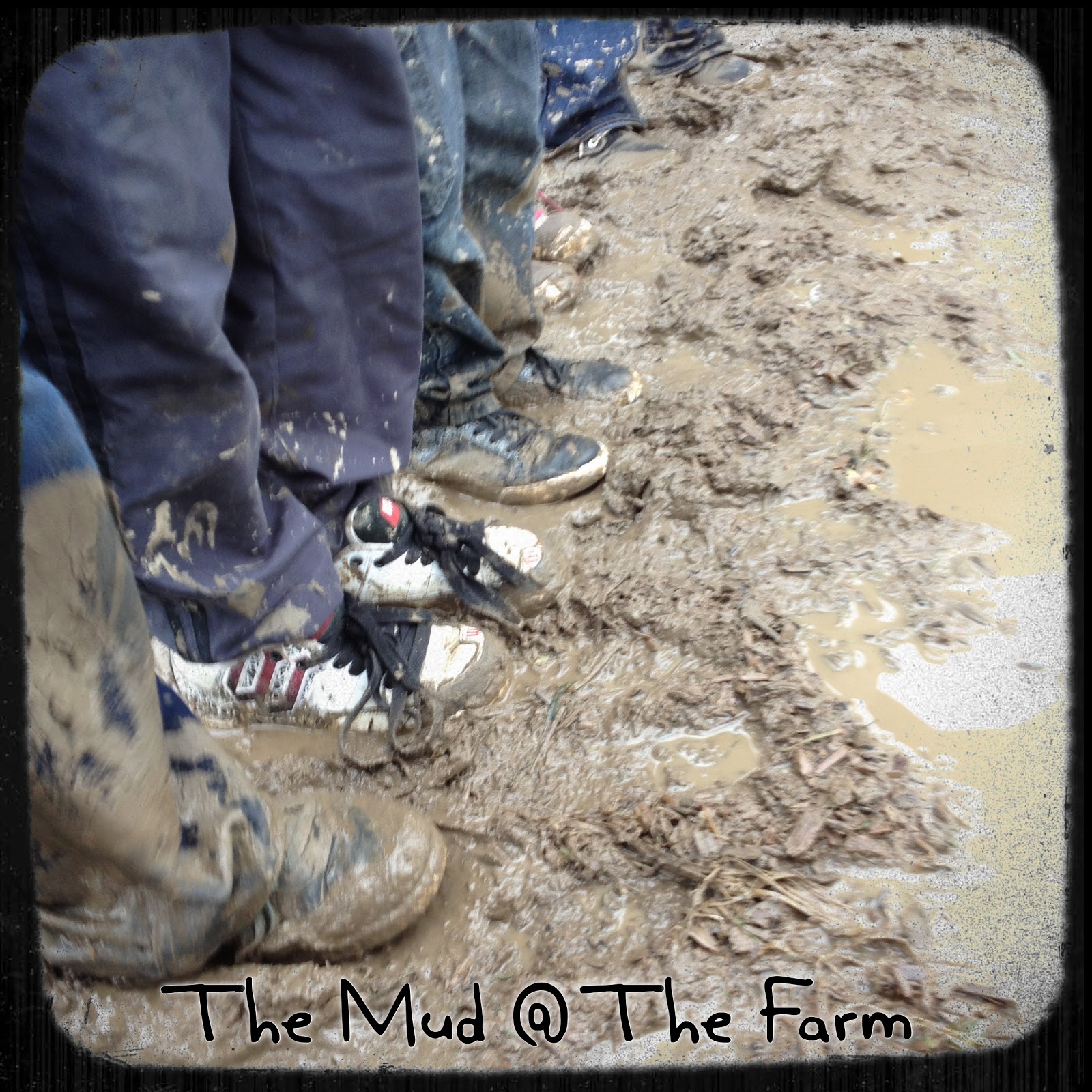 Sublime Living: Stuck in the Muck or Moving?